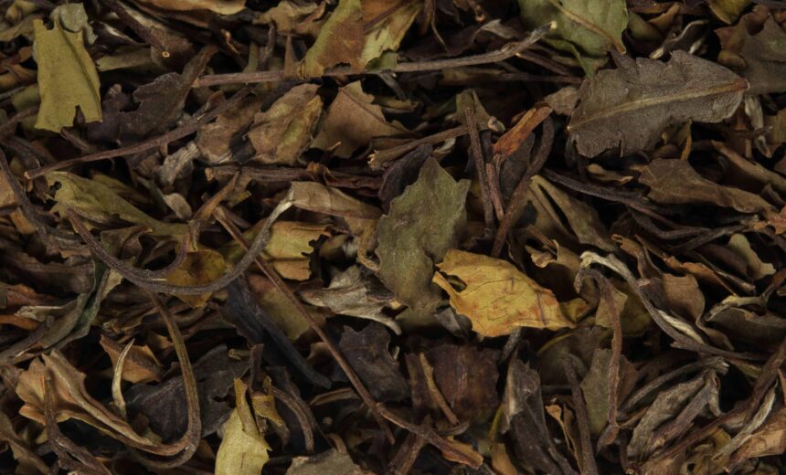 Butterfly Mind Tea Bulk - State Of Mind